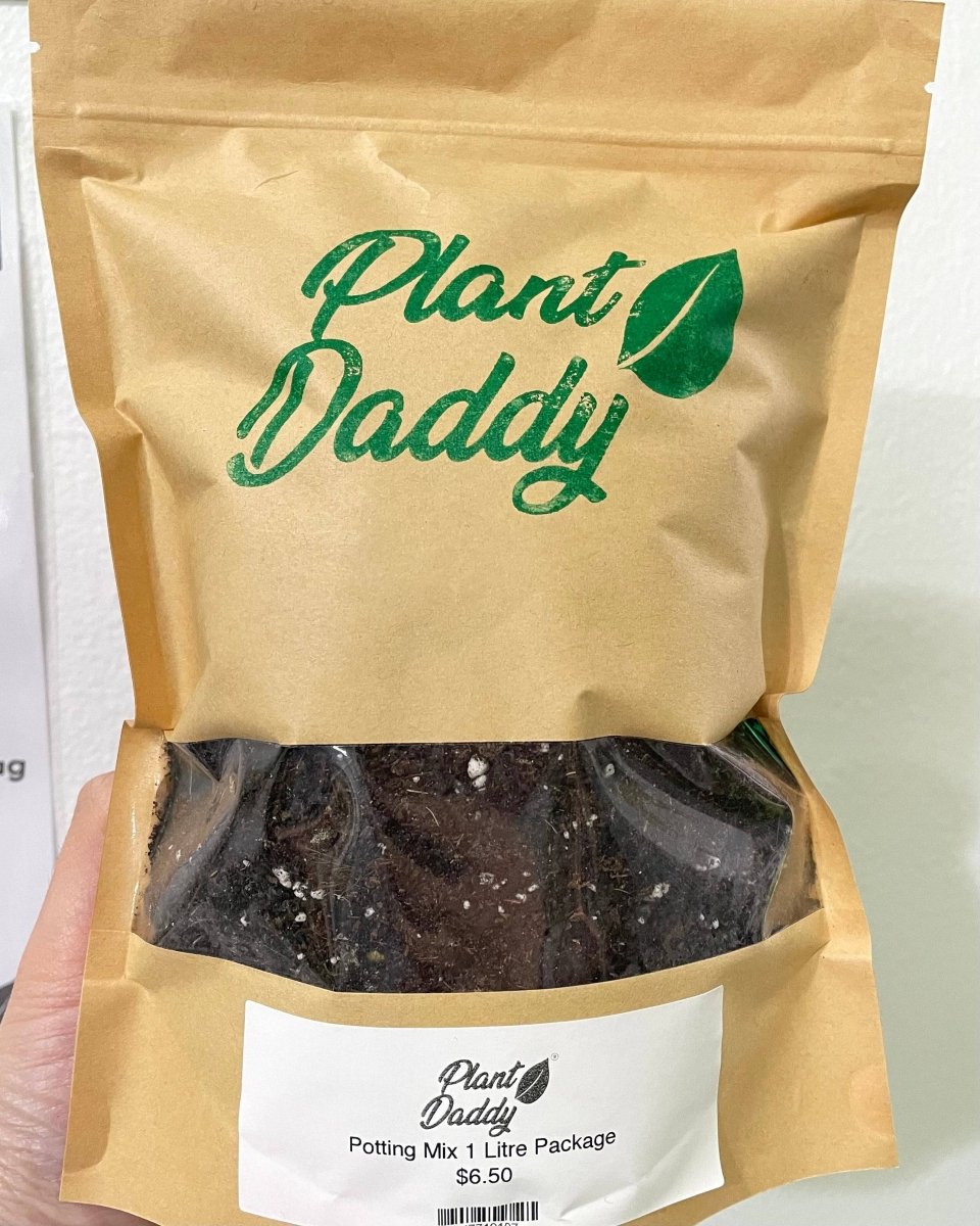 Plant Daddy House Blend Potting Mix | Plant Daddy